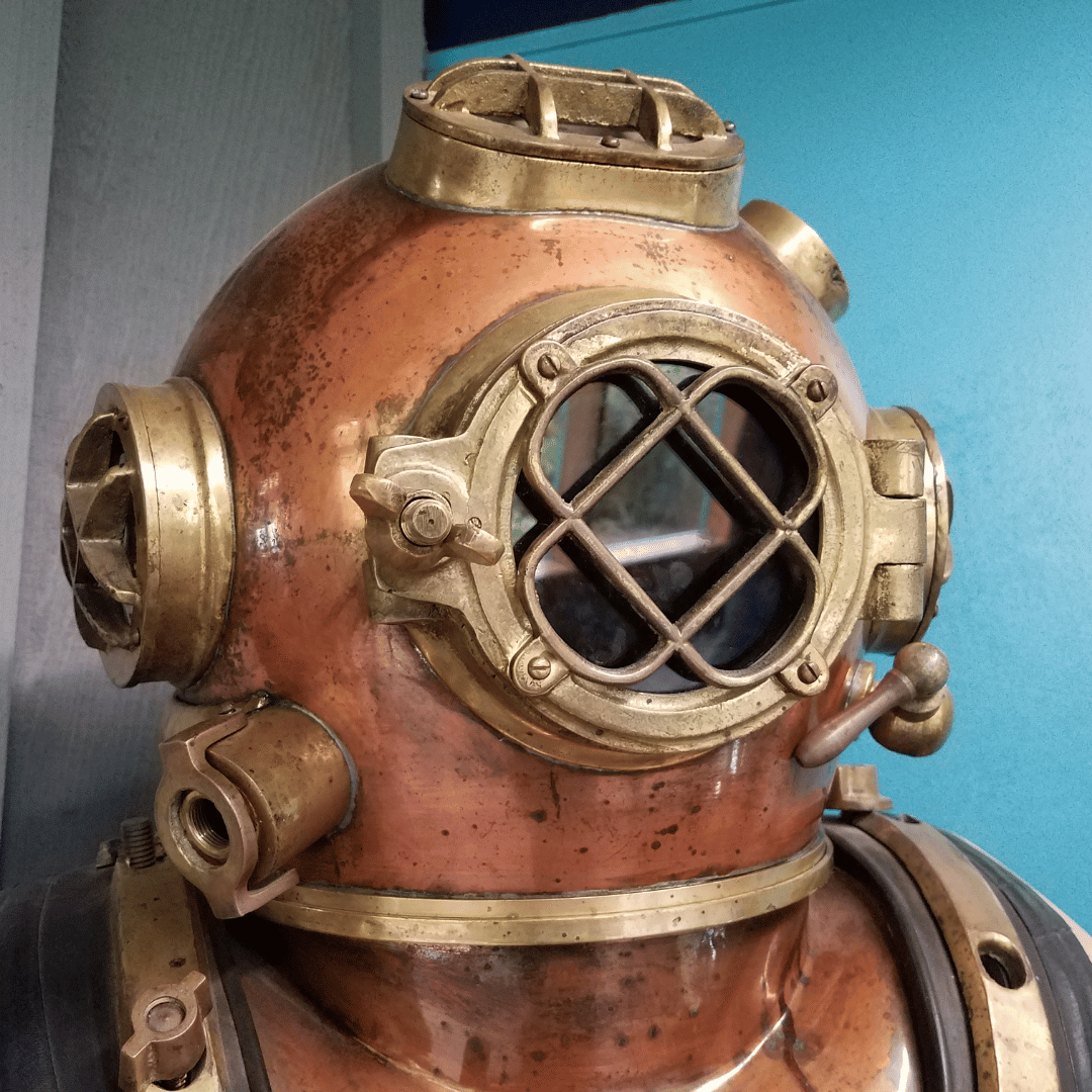Whats On | Go Diving Show | ANZ - UK - USA