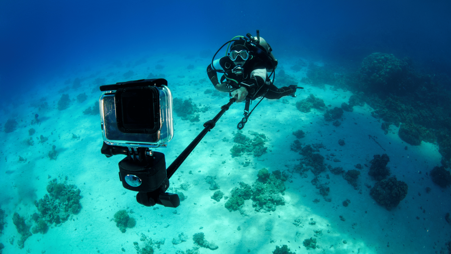 Whats On | Go Diving Show | ANZ - UK - USA