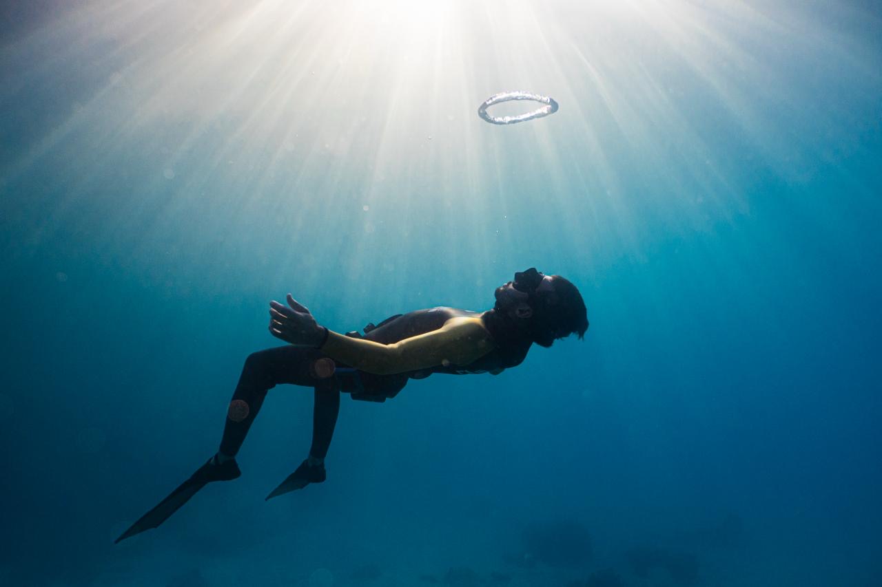 Whats On | Go Diving Show | ANZ - UK - USA